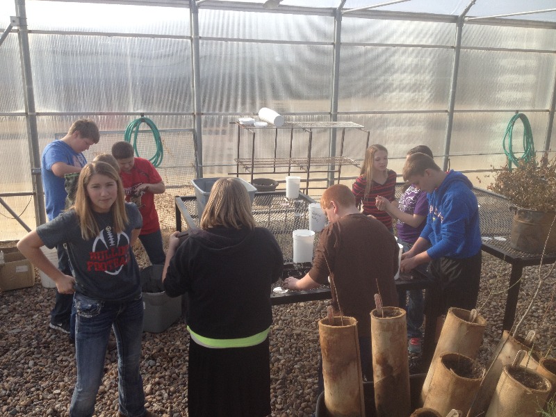 Quinter Schools - Green Thumbs in Seventh Grade