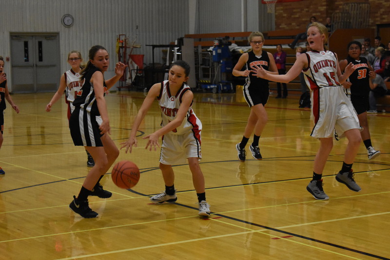 Quinter Schools - Bulldogs Split Games at Home Against Hornets